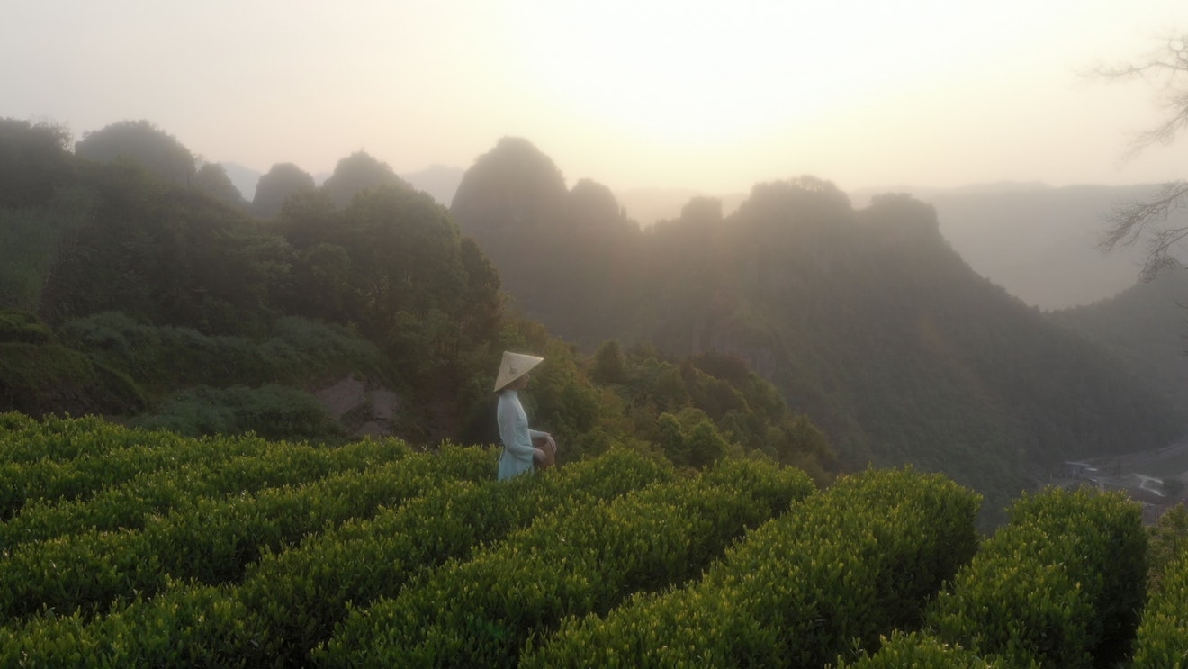 Color Correction and Film Looks Plugin | Red Giant - Magic Bullet…