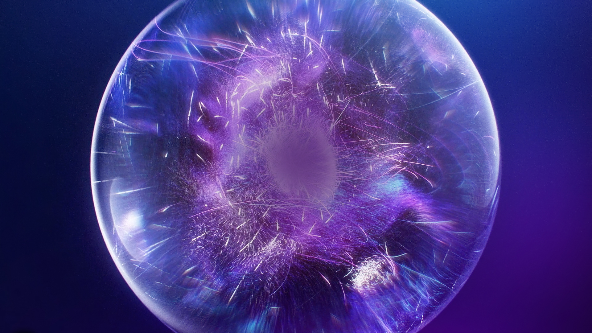 Get Everything We Make | Maxon One