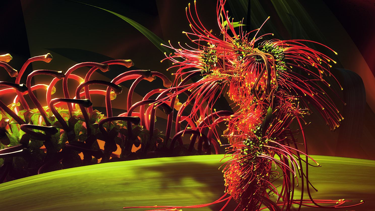 BEMO Projection Mapping at Vivid Festival