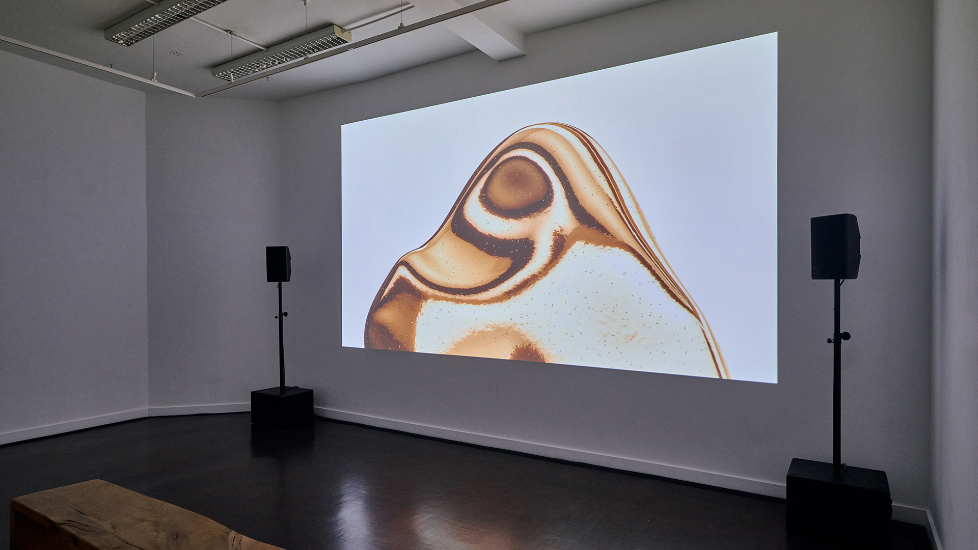 Exploring the ‘INVISIBLE’