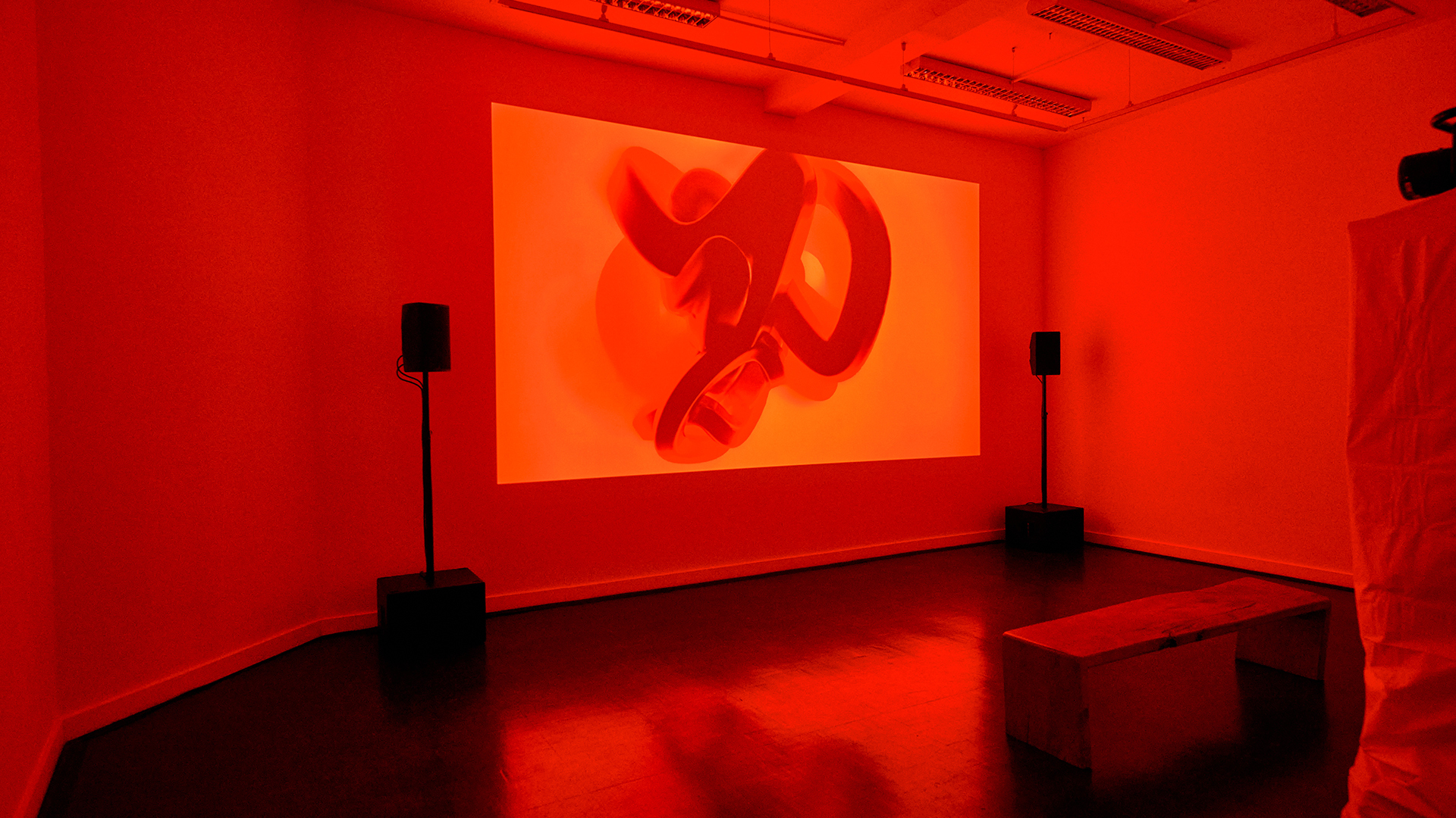 Exploring the ‘INVISIBLE’