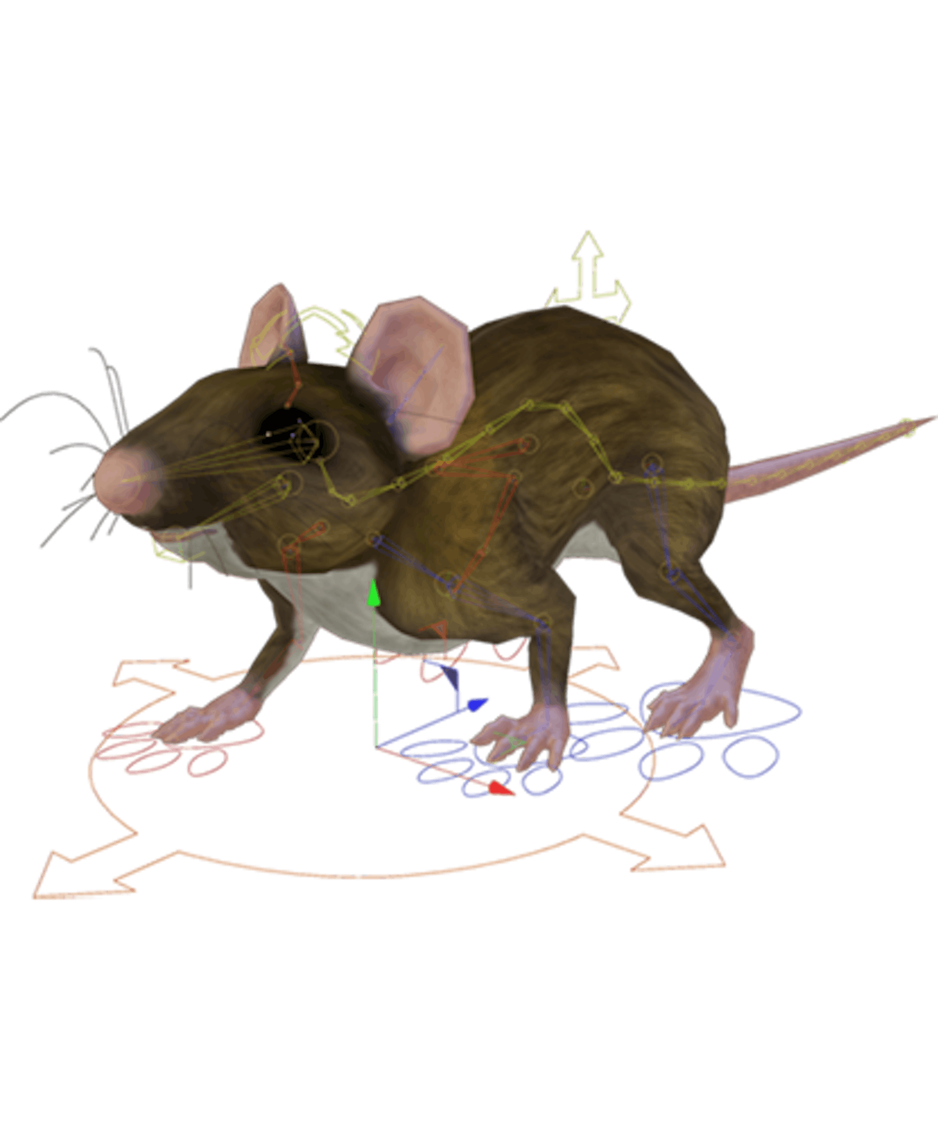 Cinema 4D - Character Animation