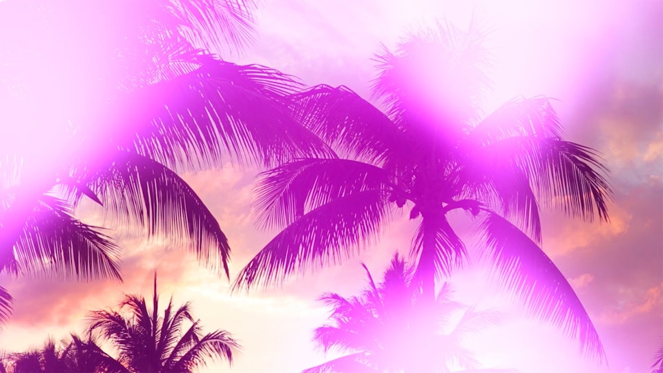 Get Everything We Make | Maxon One